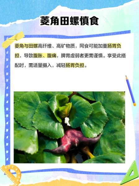 菱角不能和什么一起吃_菱角怎么吃才安全-第1张图片-山城妙识