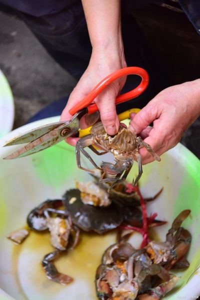 螃蟹太脏了怎么洗干净_活蟹清洗步骤-第3张图片-山城妙识
