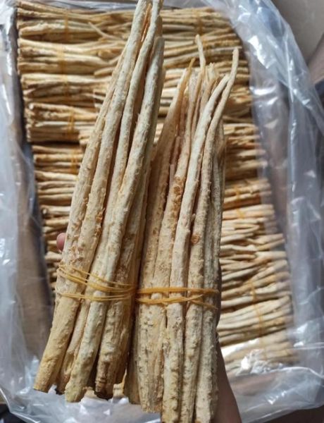 沙参的功效与作用_沙参怎么吃效果最好-第3张图片-山城妙识