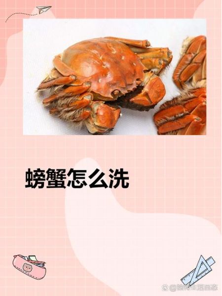 螃蟹太脏了怎么洗干净_活蟹清洗步骤-第2张图片-山城妙识