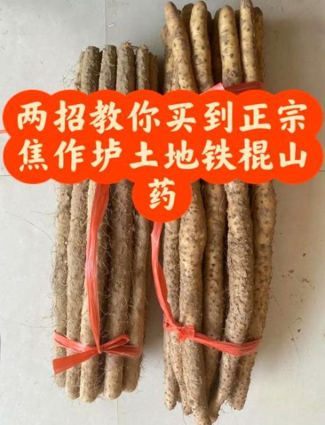 怀山药和铁棍山药的区别_哪个更好-第2张图片-山城妙识 怀山药和铁棍山药的区别_哪个更好-第2张图片-山城妙识
