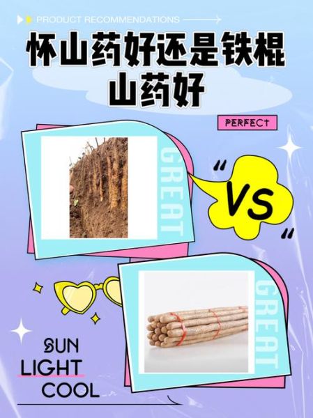 怀山药和铁棍山药的区别_哪个更好-第3张图片-山城妙识 怀山药和铁棍山药的区别_哪个更好-第3张图片-山城妙识