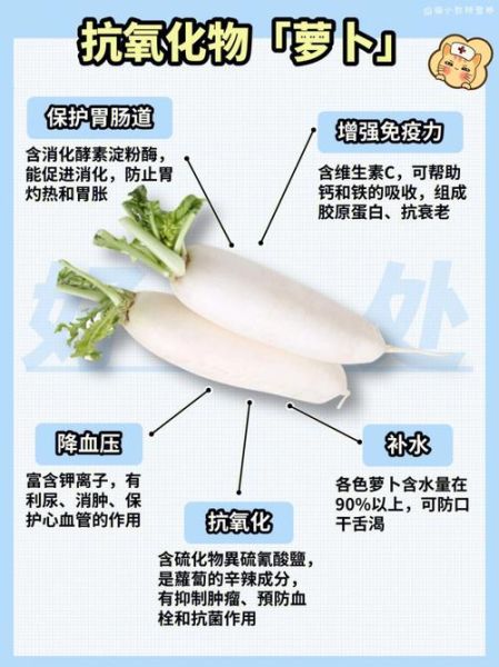 白萝卜和青萝卜的区别_哪个更适合炖汤-第3张图片-山城妙识