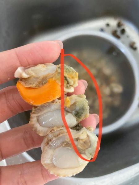 扇贝哪里不能吃_扇贝内脏怎么分辨-第1张图片-山城妙识