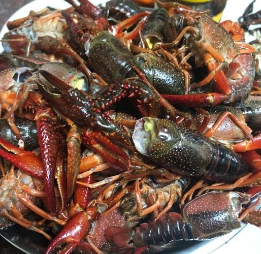 啤酒龙虾怎么做好吃_家庭版做法步骤-第1张图片-山城妙识