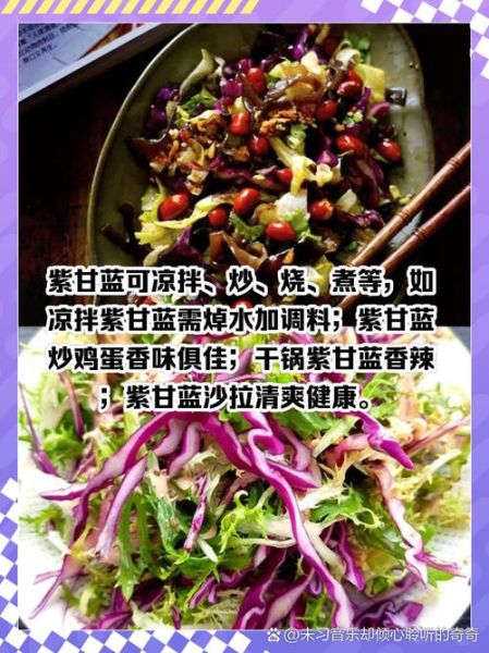 紫包菜的营养价值_紫包菜怎么吃好-第1张图片-山城妙识 紫包菜的营养价值_紫包菜怎么吃好-第1张图片-山城妙识