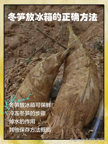 冻过的冬笋怎么做好吃_冻冬笋焯水多久才脆-第2张图片-山城妙识