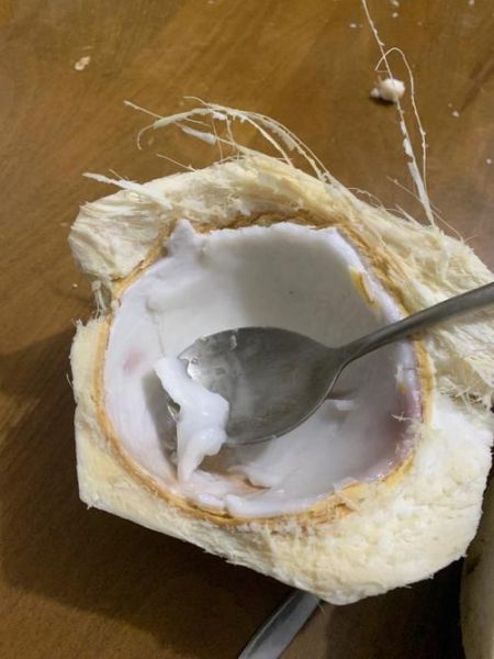 椰子肉怎么煮软_椰子肉煮多久才软-第2张图片-山城妙识