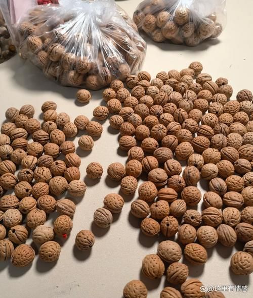 山核桃手串怎么盘_山核桃手串真假鉴别-第3张图片-山城妙识