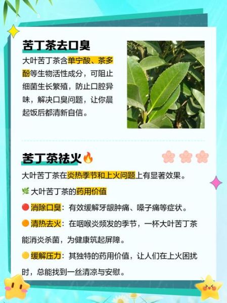 苦丁茶能降血压吗_苦丁茶适合什么人喝-第1张图片-山城妙识