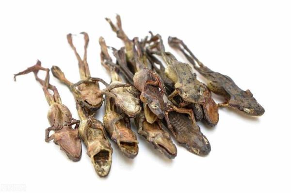 雪蛤多少钱一斤_雪蛤价格影响因素-第3张图片-山城妙识 雪蛤多少钱一斤_雪蛤价格影响因素-第3张图片-山城妙识