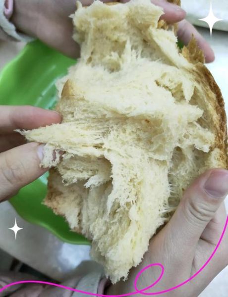 东菱面包机食谱26种怎么做_东菱面包机做面包失败原因-第3张图片-山城妙识 东菱面包机食谱26种怎么做_东菱面包机做面包失败原因-第3张图片-山城妙识