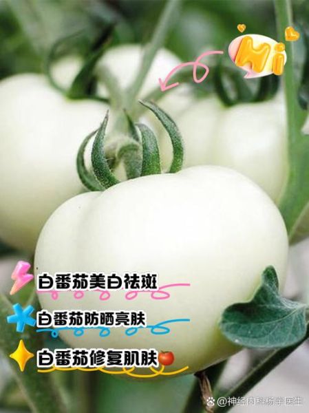 西红柿可以美白吗_西红柿美白效果怎么样-第1张图片-山城妙识