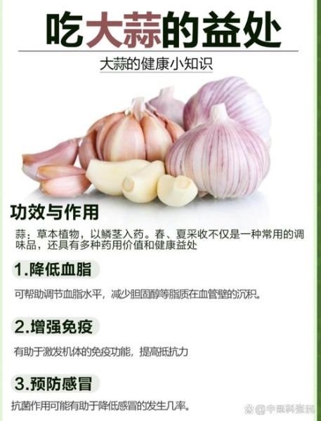大蒜怎么吃最健康_大蒜的功效与作用-第3张图片-山城妙识 大蒜怎么吃最健康_大蒜的功效与作用-第3张图片-山城妙识