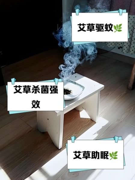 艾叶熏房间有什么好处_艾叶熏房间的正确方法-第1张图片-山城妙识 艾叶熏房间有什么好处_艾叶熏房间的正确方法-第1张图片-山城妙识