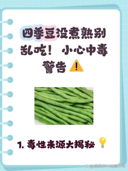 四季豆不能和什么一起吃_中毒真相-第2张图片-山城妙识 四季豆不能和什么一起吃_中毒真相-第2张图片-山城妙识