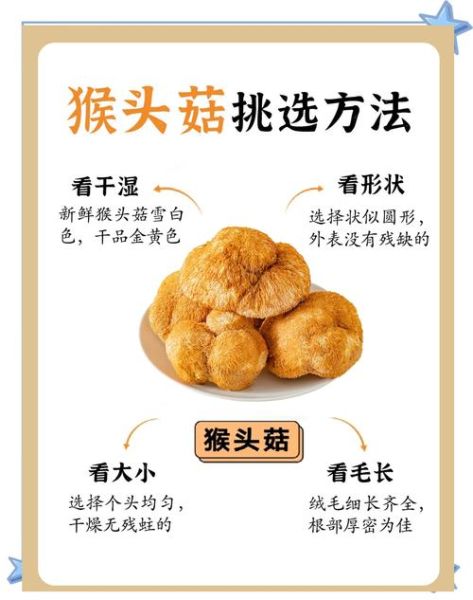 猴头菇一次吃多少克_猴头菇怎么吃最养胃-第2张图片-山城妙识 猴头菇一次吃多少克_猴头菇怎么吃最养胃-第2张图片-山城妙识