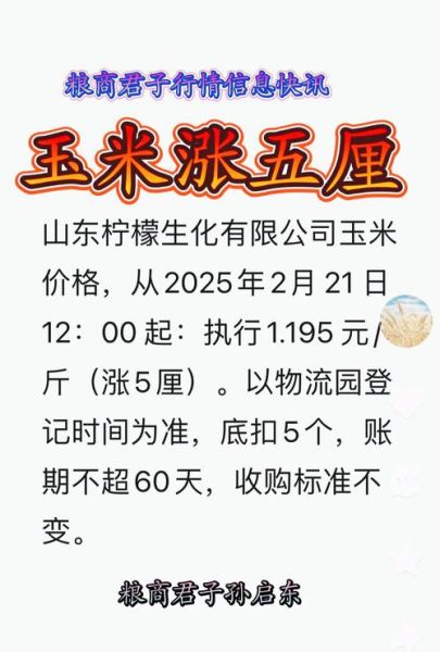 玉米价格最新行情2021年8月_玉米还会涨吗-第3张图片-山城妙识