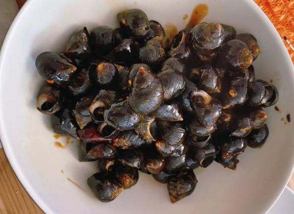 清水田螺怎么清洗_清水田螺怎么炒好吃-第3张图片-山城妙识