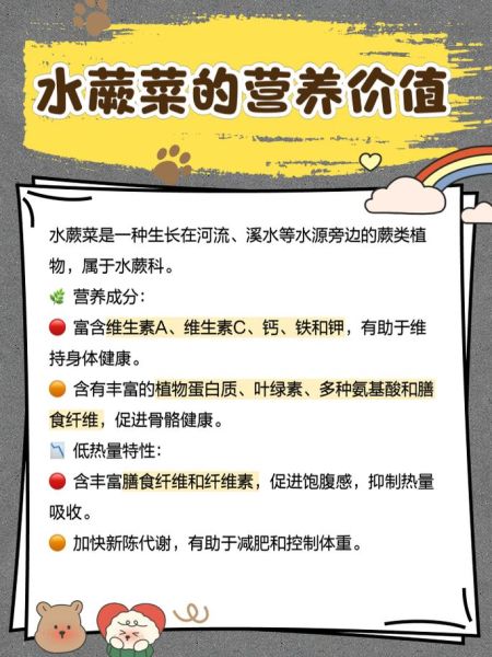 水蕨菜的功效与作用_水蕨菜的副作用有哪些-第1张图片-山城妙识 水蕨菜的功效与作用_水蕨菜的副作用有哪些-第1张图片-山城妙识