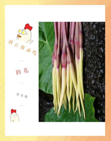 芋头花怎么做好吃_芋头花有什么功效-第1张图片-山城妙识 芋头花怎么做好吃_芋头花有什么功效-第1张图片-山城妙识