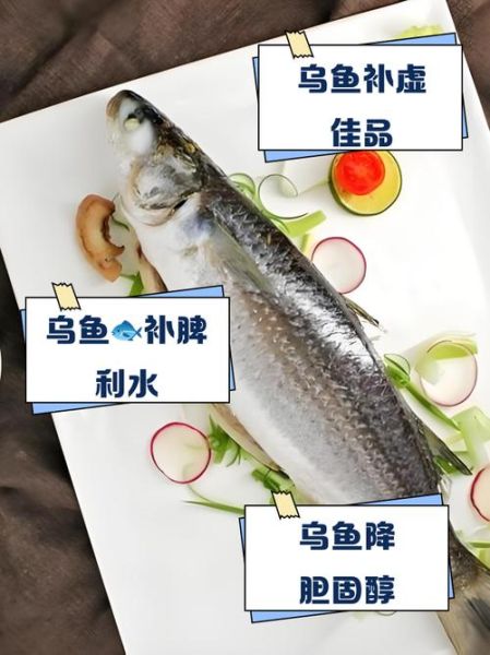 乌鱼图片及功效与作用_乌鱼适合什么人吃-第2张图片-山城妙识