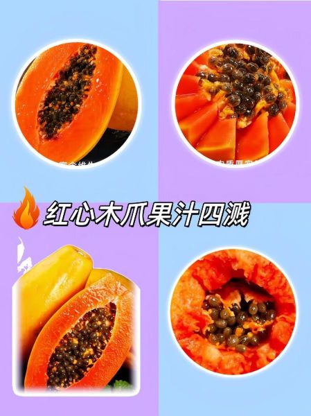 男人吃木瓜有什么好处_男人吃木瓜能壮阳吗-第3张图片-山城妙识 男人吃木瓜有什么好处_男人吃木瓜能壮阳吗-第3张图片-山城妙识