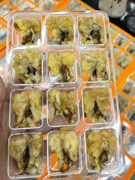 女人多久吃一次雪蛤_雪蛤多久吃一次最好-第2张图片-山城妙识 女人多久吃一次雪蛤_雪蛤多久吃一次最好-第2张图片-山城妙识