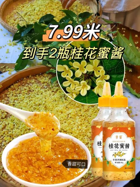 桂花蜜怎么吃最好_桂花蜜的正确吃法-第1张图片-山城妙识