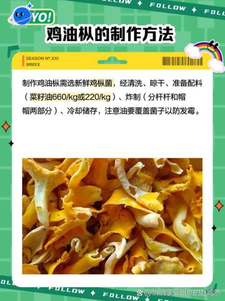 油鸡枞怎么读_油鸡枞的正宗做法-第1张图片-山城妙识