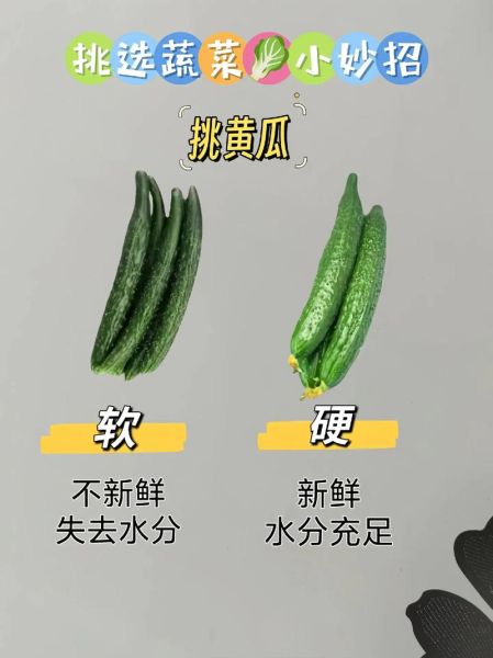 常见蔬菜有哪些_如何挑选100种蔬菜-第2张图片-山城妙识