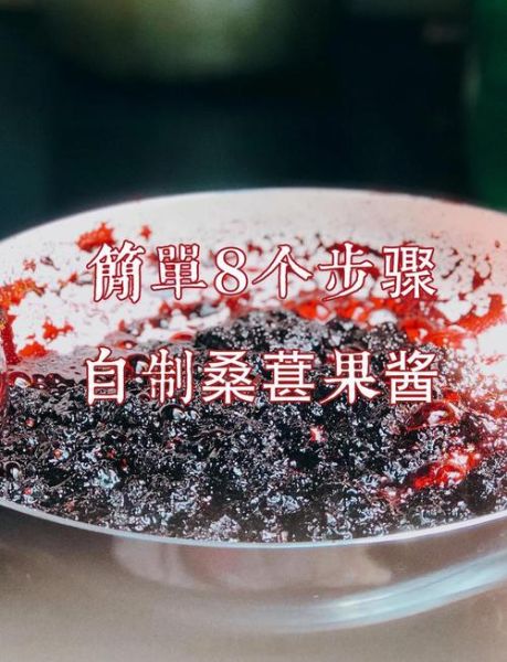 桑葚酱怎么保存不变质_家庭自制桑葚酱的做法-第1张图片-山城妙识