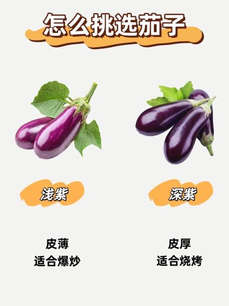 常见蔬菜有哪些_如何挑选100种蔬菜-第3张图片-山城妙识