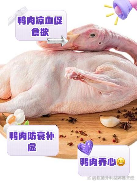 鸭肉的营养价值与功效禁忌_什么人不能吃鸭肉-第2张图片-山城妙识