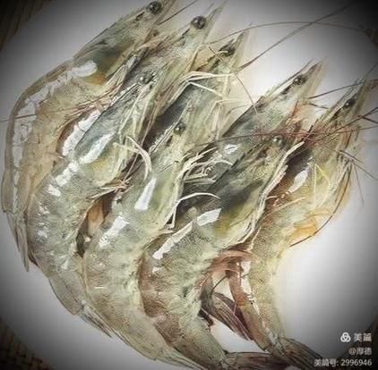 白袍虾仁的由来_白袍虾仁典故背后的文化-第1张图片-山城妙识
