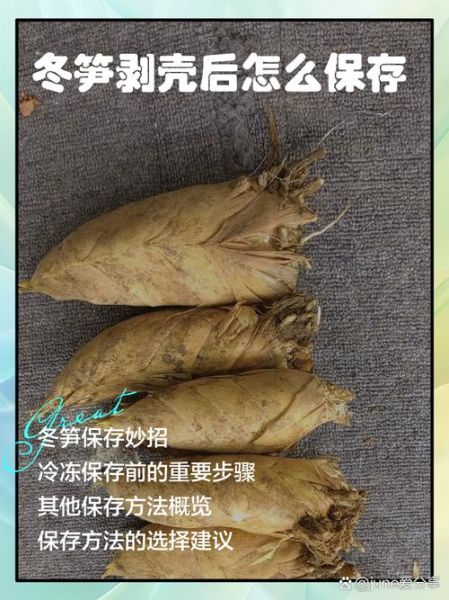 冬笋怎么剥皮_冬笋怎么吃-第2张图片-山城妙识 冬笋怎么剥皮_冬笋怎么吃-第2张图片-山城妙识