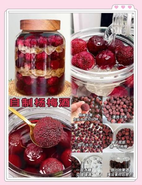 杨梅酒怎么泡制不用酒_无酒精杨梅饮做法-第3张图片-山城妙识