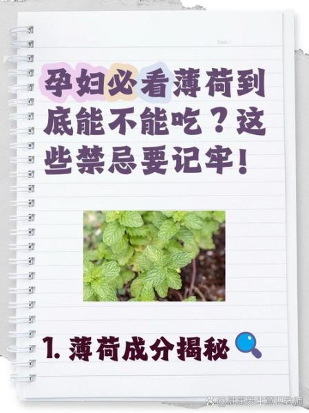 薄荷致癌是真的吗_薄荷醇安全剂量是多少-第2张图片-山城妙识 薄荷致癌是真的吗_薄荷醇安全剂量是多少-第2张图片-山城妙识