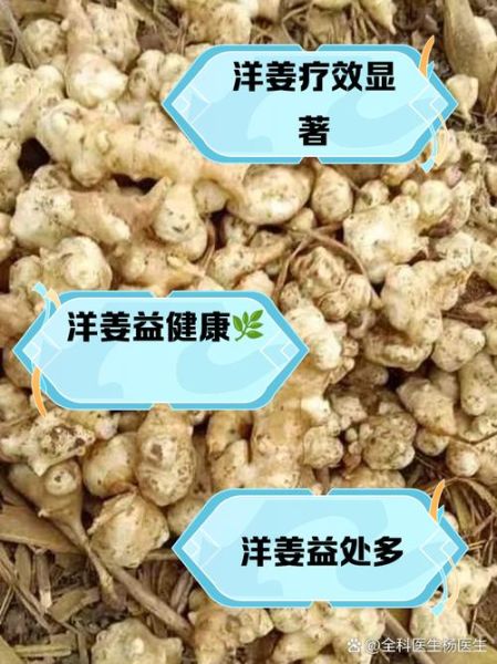 糖尿病人吃洋姜的好处和坏处_洋姜降血糖是真的吗-第2张图片-山城妙识