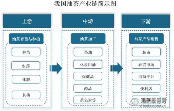 种油茶10亩地年收入_油茶种植利润怎么样-第1张图片-山城妙识