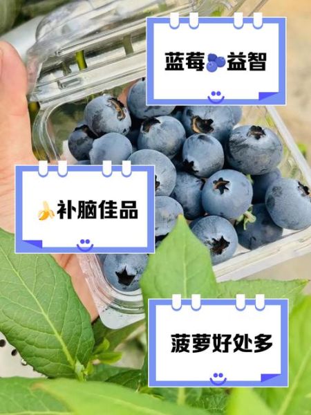 增强记忆力的水果有哪些_吃什么水果提高记忆力-第3张图片-山城妙识