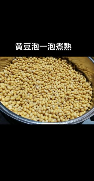 煮黄豆怎么煮才软烂_煮黄豆需要提前泡多久-第2张图片-山城妙识 煮黄豆怎么煮才软烂_煮黄豆需要提前泡多久-第2张图片-山城妙识