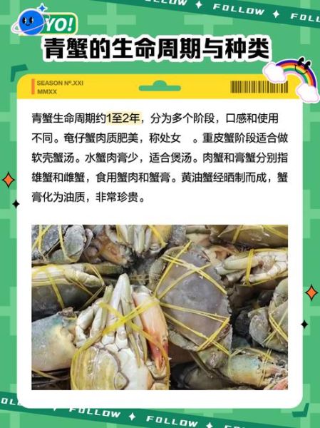 青蟹的营养价值_青蟹的功效与作用-第3张图片-山城妙识