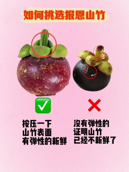 山竹怎么挑_山竹多少钱一斤-第1张图片-山城妙识