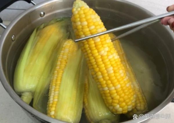 水煮玉米几分钟才熟_怎么判断玉米熟了没-第1张图片-山城妙识