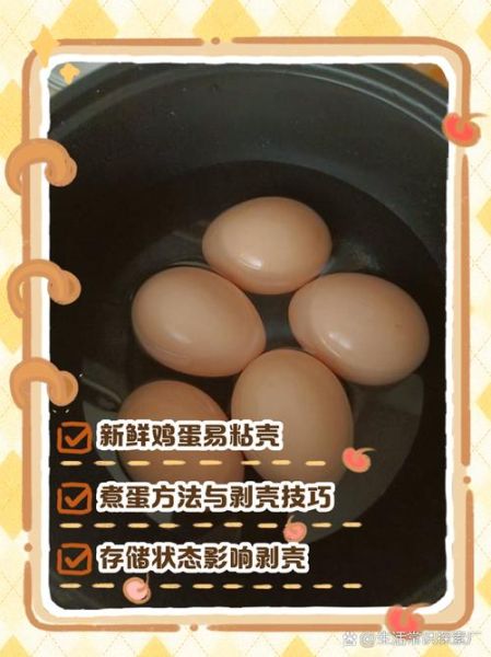 煮鸡蛋怎么好剥皮_为什么煮鸡蛋难剥皮-第2张图片-山城妙识