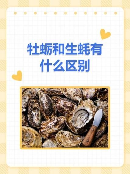 生蚝和牡蛎的区别_生蚝是牡蛎吗-第3张图片-山城妙识