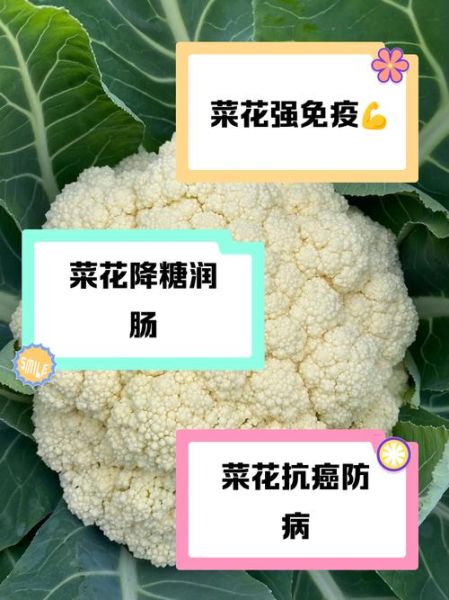 花菜吃太多有什么坏处_花菜过量摄入副作用-第2张图片-山城妙识