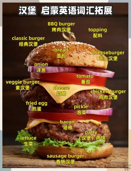 汉堡包英语怎么读_汉堡包发音音标-第1张图片-山城妙识 汉堡包英语怎么读_汉堡包发音音标-第1张图片-山城妙识