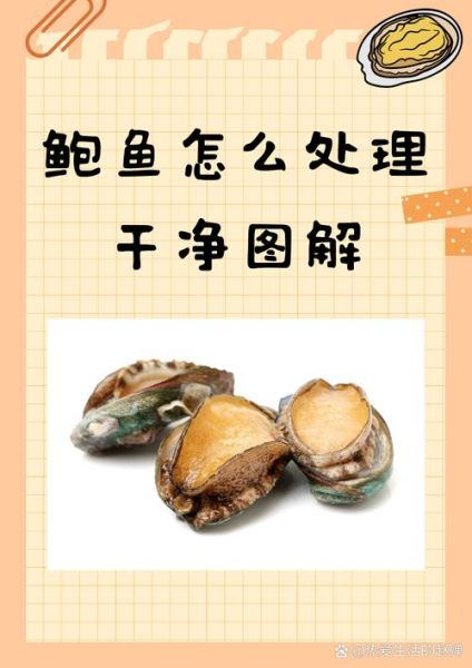 鲍鱼怎么去壳_鲍鱼内脏清理方法-第2张图片-山城妙识